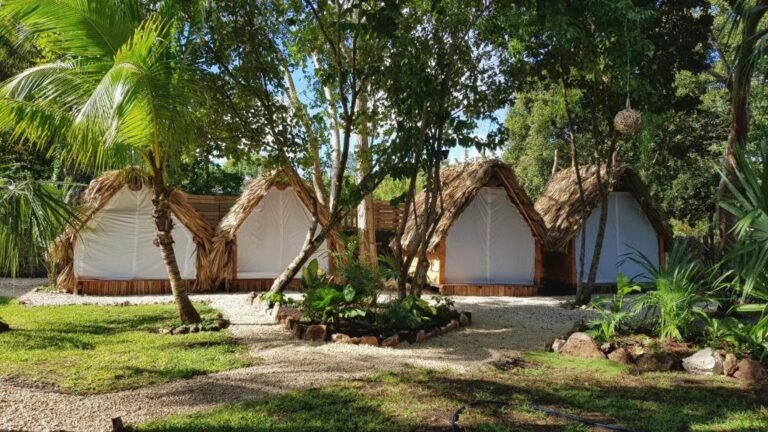 Mini Cabañas - GLAMPING EL BÚHO